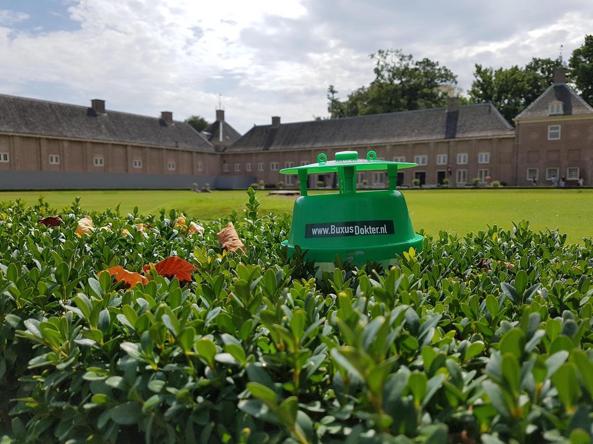 Funnelval Buxusmot - Buxus Dokter - Feromoon val - Milieuvriendelijke ...