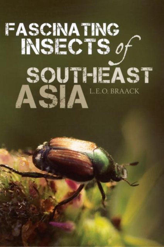 Fascinating Insects of Southeast Asia | 9789814276498 | L.E.O. Braack ...