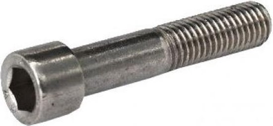 Inbusbout M10 x 60 mm rvs zilver 10 stuks | bol