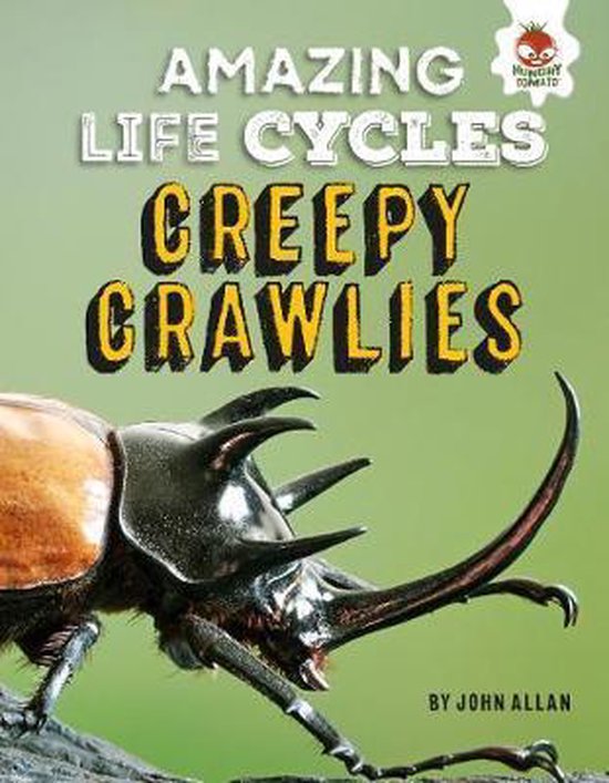 Creepy Crawlies - Amazing Life Cycles | 9781913077013 | John Allan ...