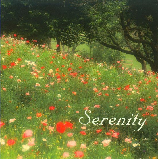 Serenity [Reflections], various artists | CD (album) | Muziek | bol.com