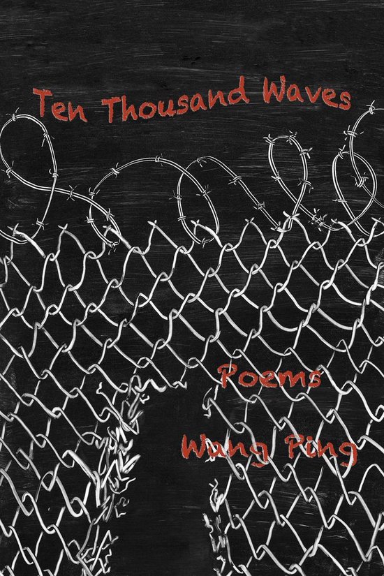 Ten Thousand Waves (ebook), Wang Ping | 9781609403515 | Boeken | bol.com