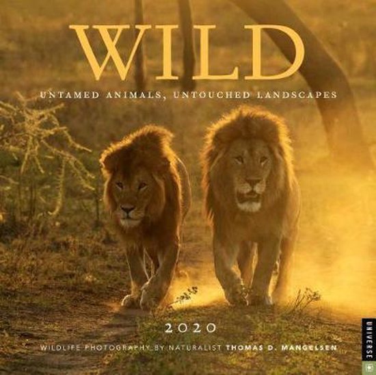 Wild 2020 Square Wall Calendar | bol.com