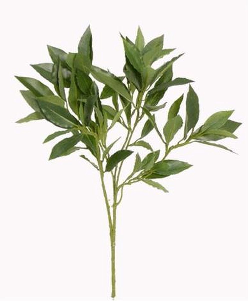 Kunstplant takken laurierblad tak groen van 48 cm - Boeketten maken ...