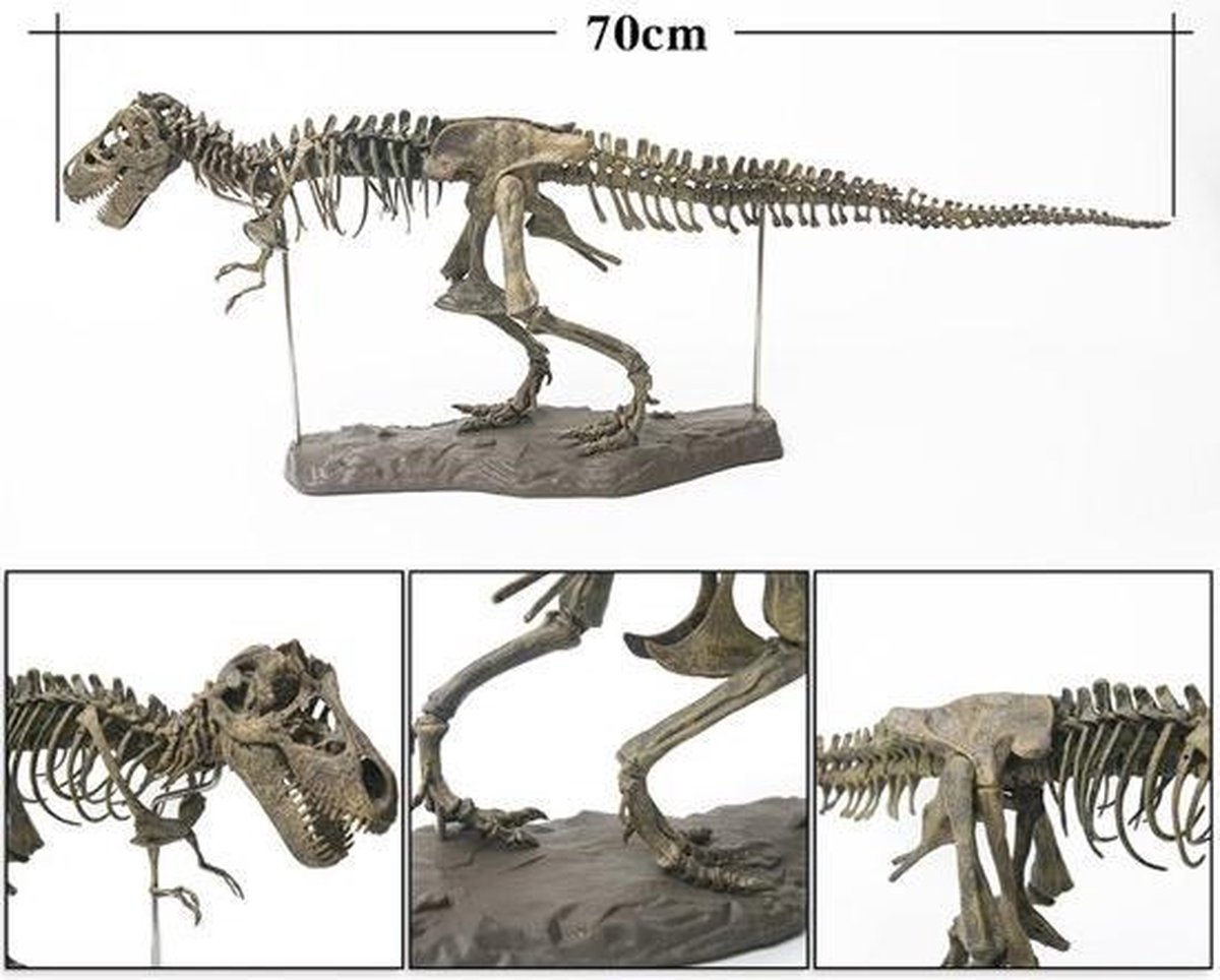 Realistisch dinosaurus model van T-Rex puzzel (Tyrannosaurus Rex). 70 ...