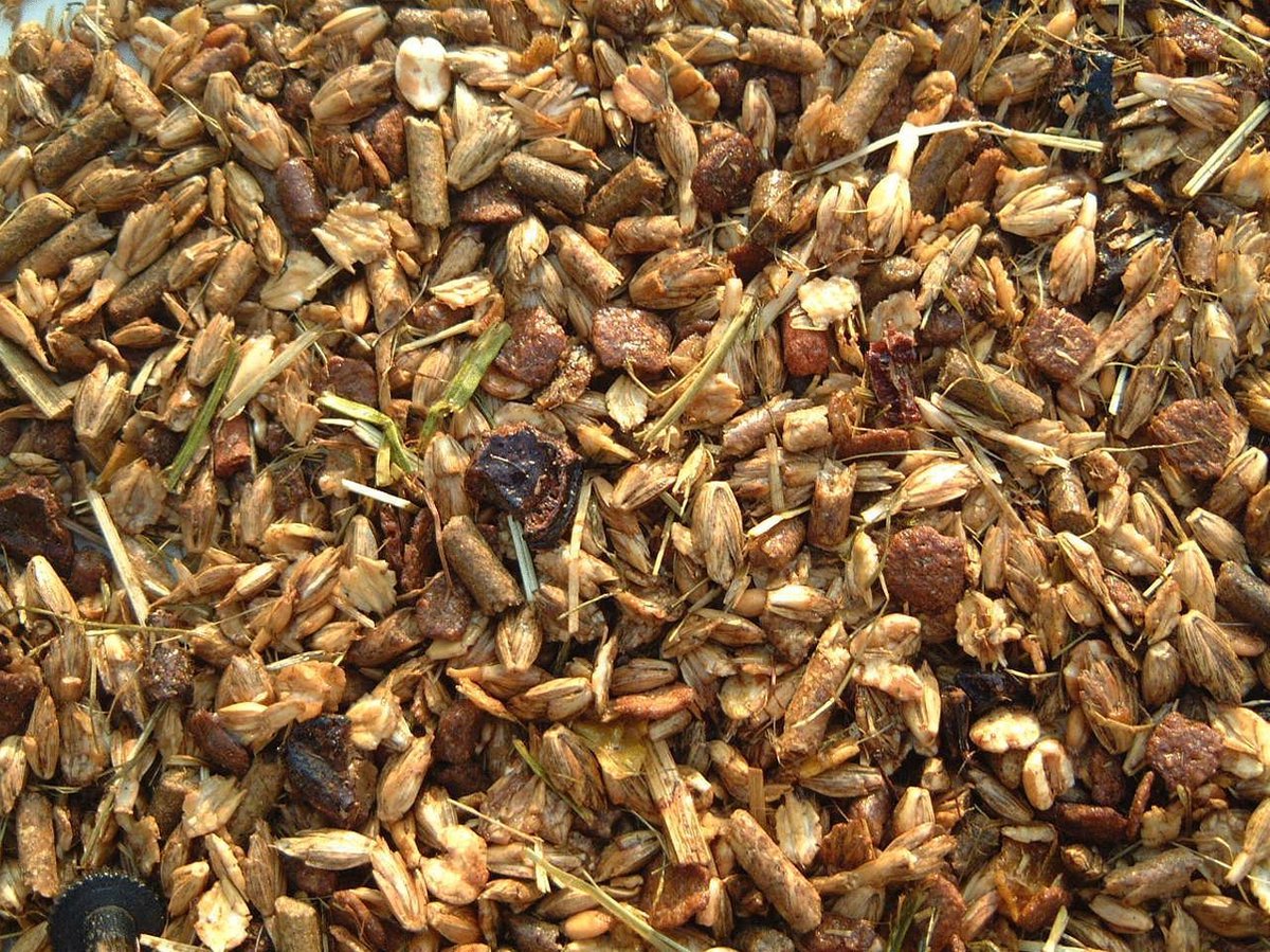 Mijten Quattro 20kg - sobere paardenmuesli / tegen hoefbevangenheid | bol