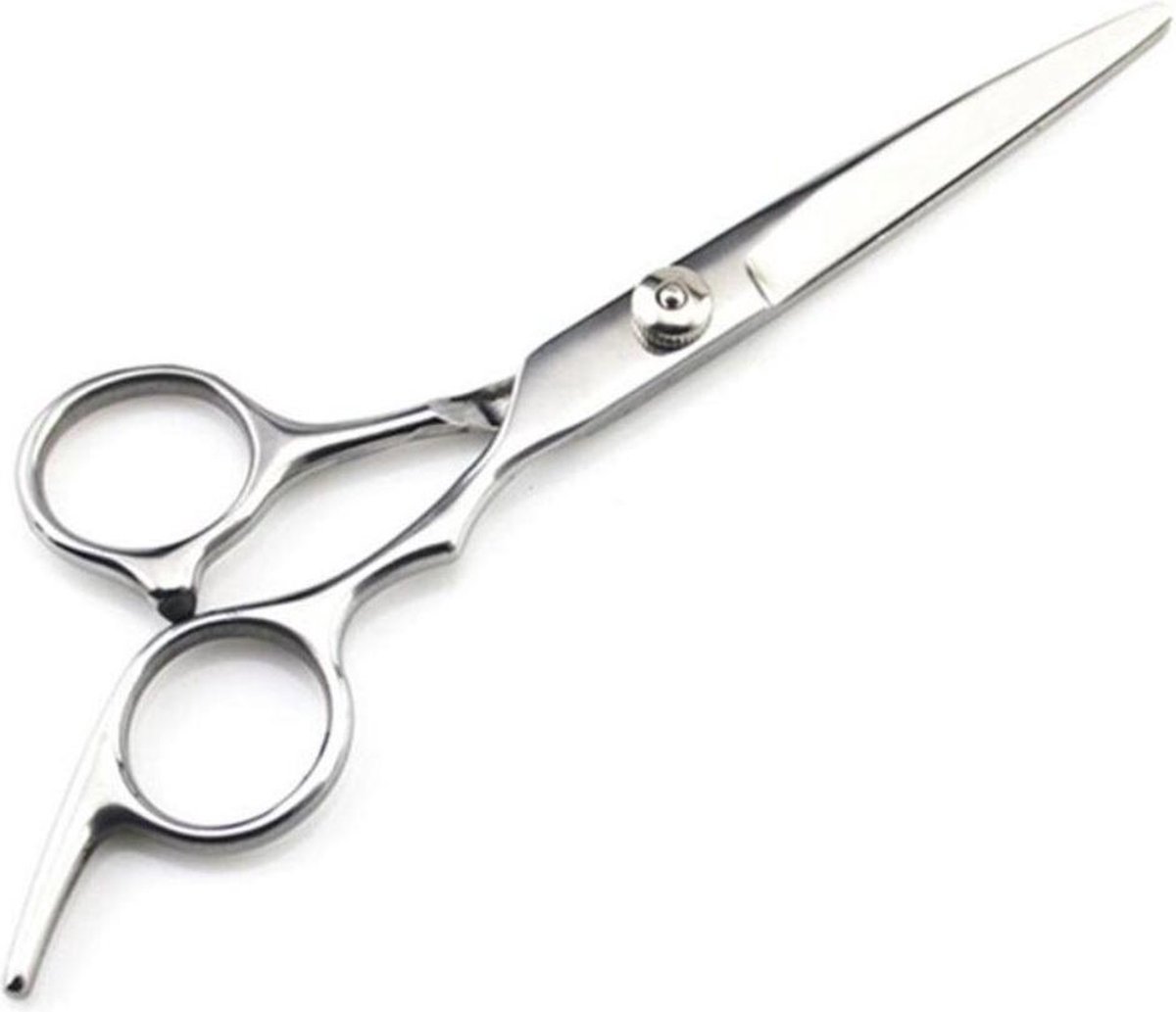 Professionele Kapper Schaar | Zilver Cutting | Kappers Salon | bol.com