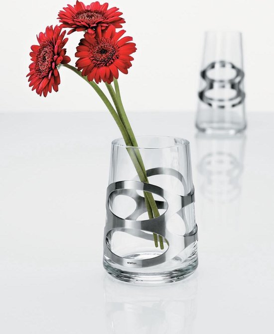 Stelton Embrace - Vaas -h16.5 cm - RVS/Glas | bol