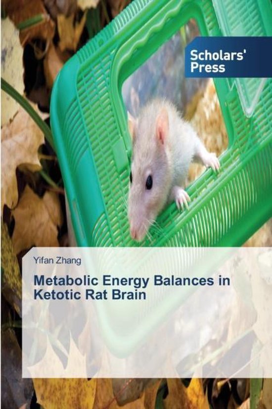 Metabolic Energy Balances in Ketotic Rat Brain, Yifan Zhang ...
