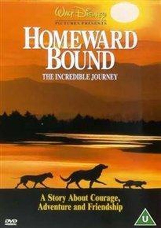 Homeward Bound - Incredible Journey (Dvd), Buddy | Dvd's | bol