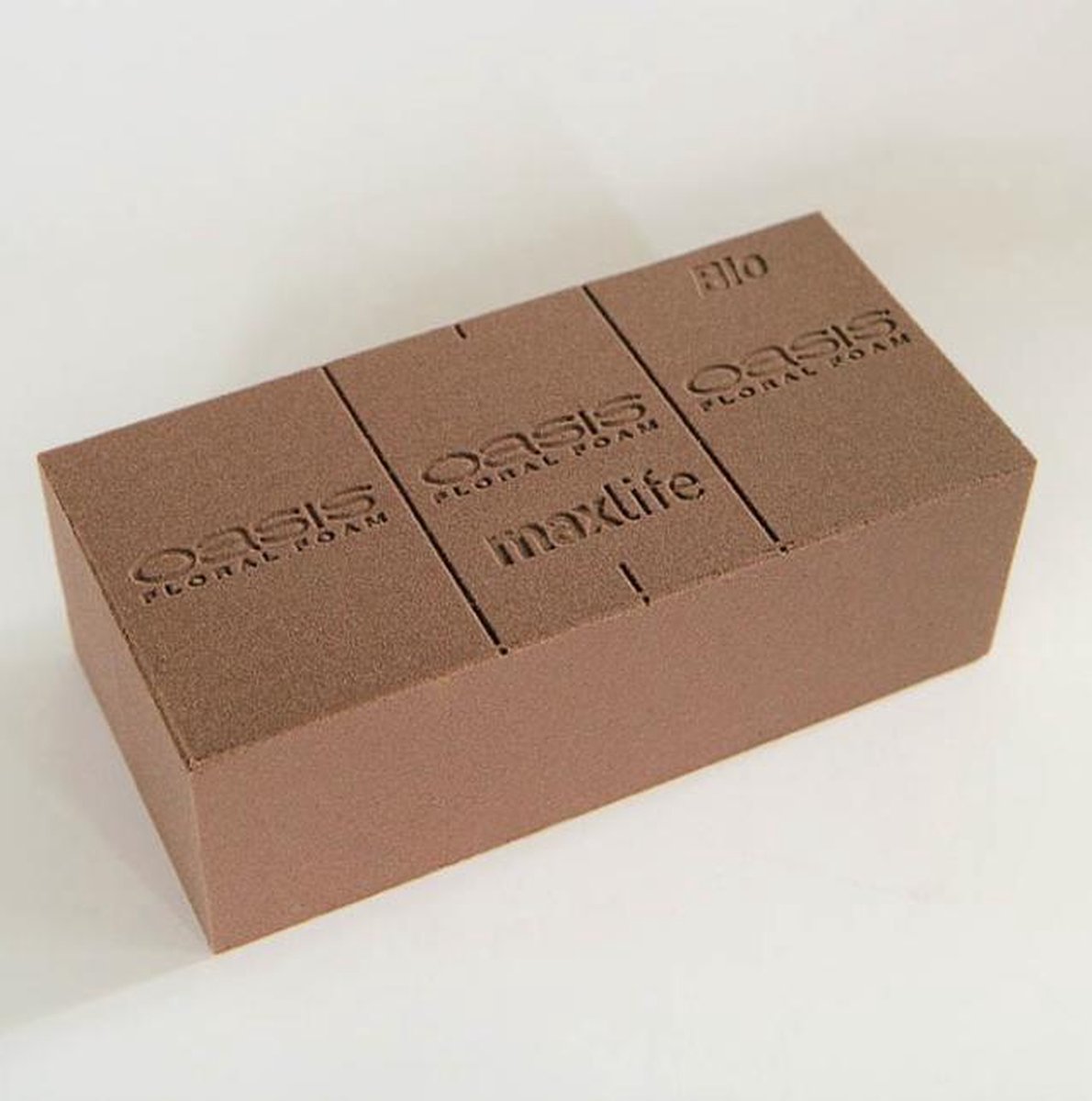 Oasis - Naturebase Bio Brick - Steekschuim - 23x11x8cm | bol.