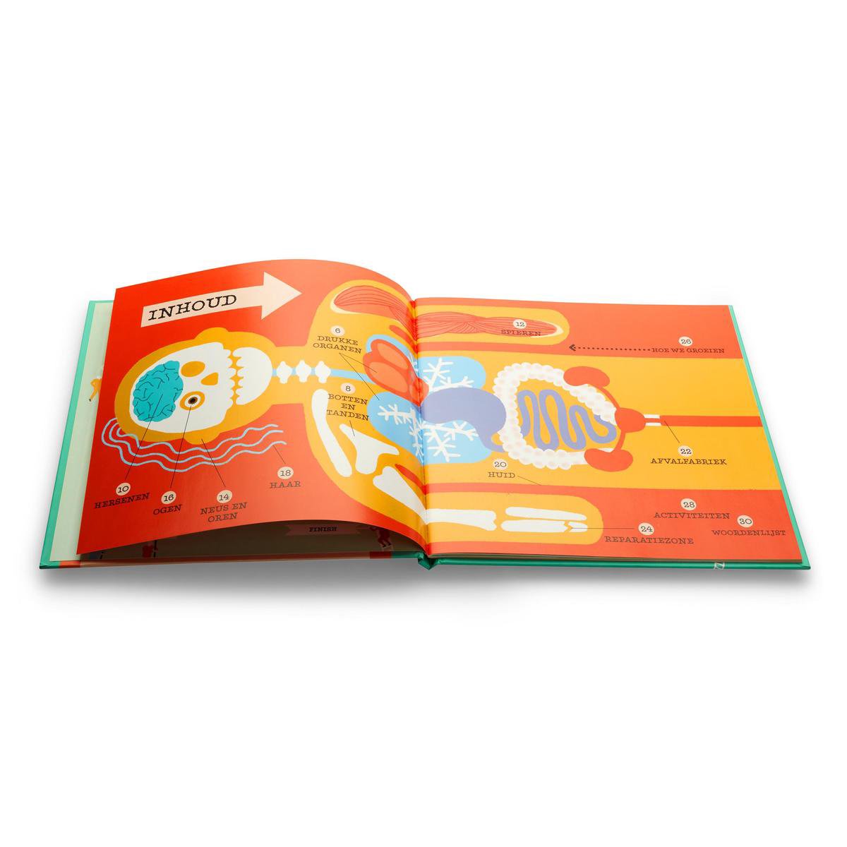 Body detective weetjes & feiten over jouw lichaam, Maggie Li ...