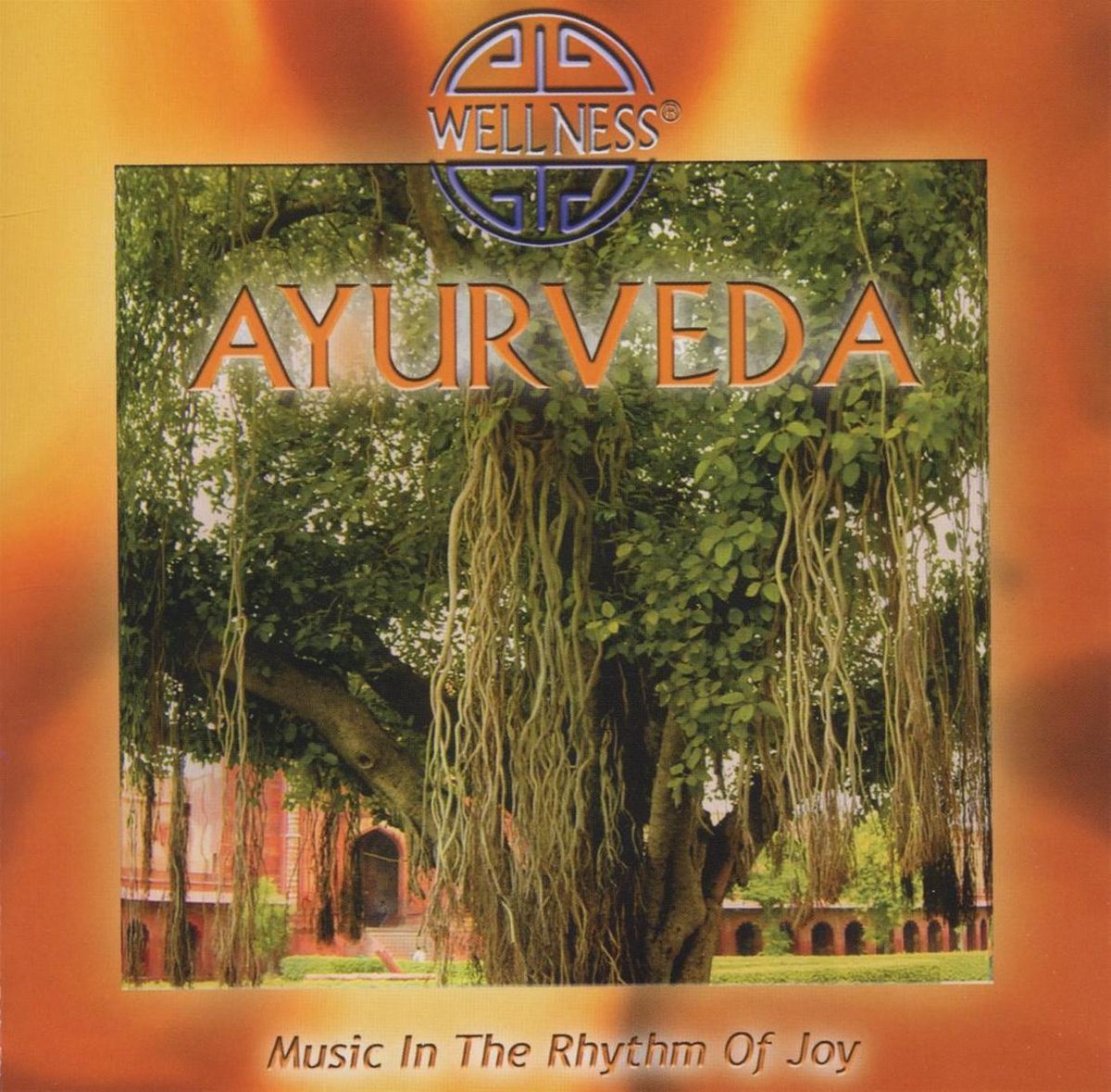 Ayurveda-music In The, Guru Atman | CD (album) | Muziek | bol.com
