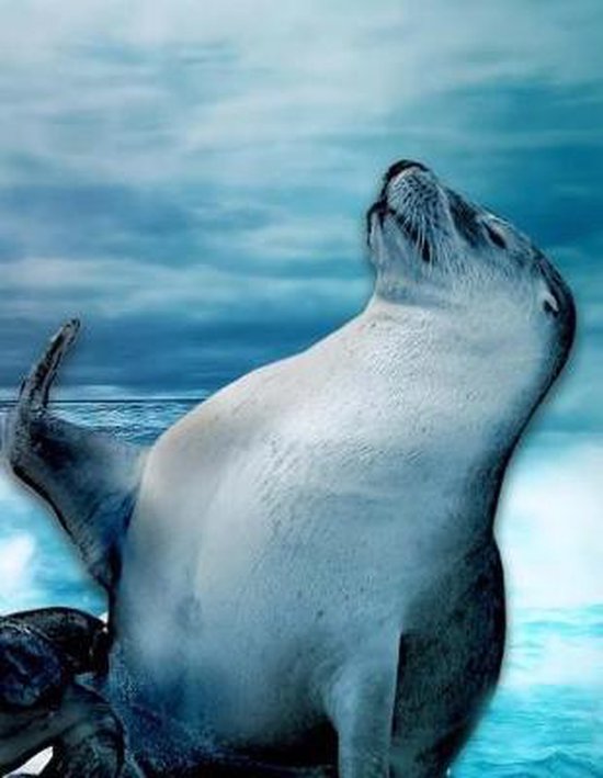 Seals Notebook | bol.com