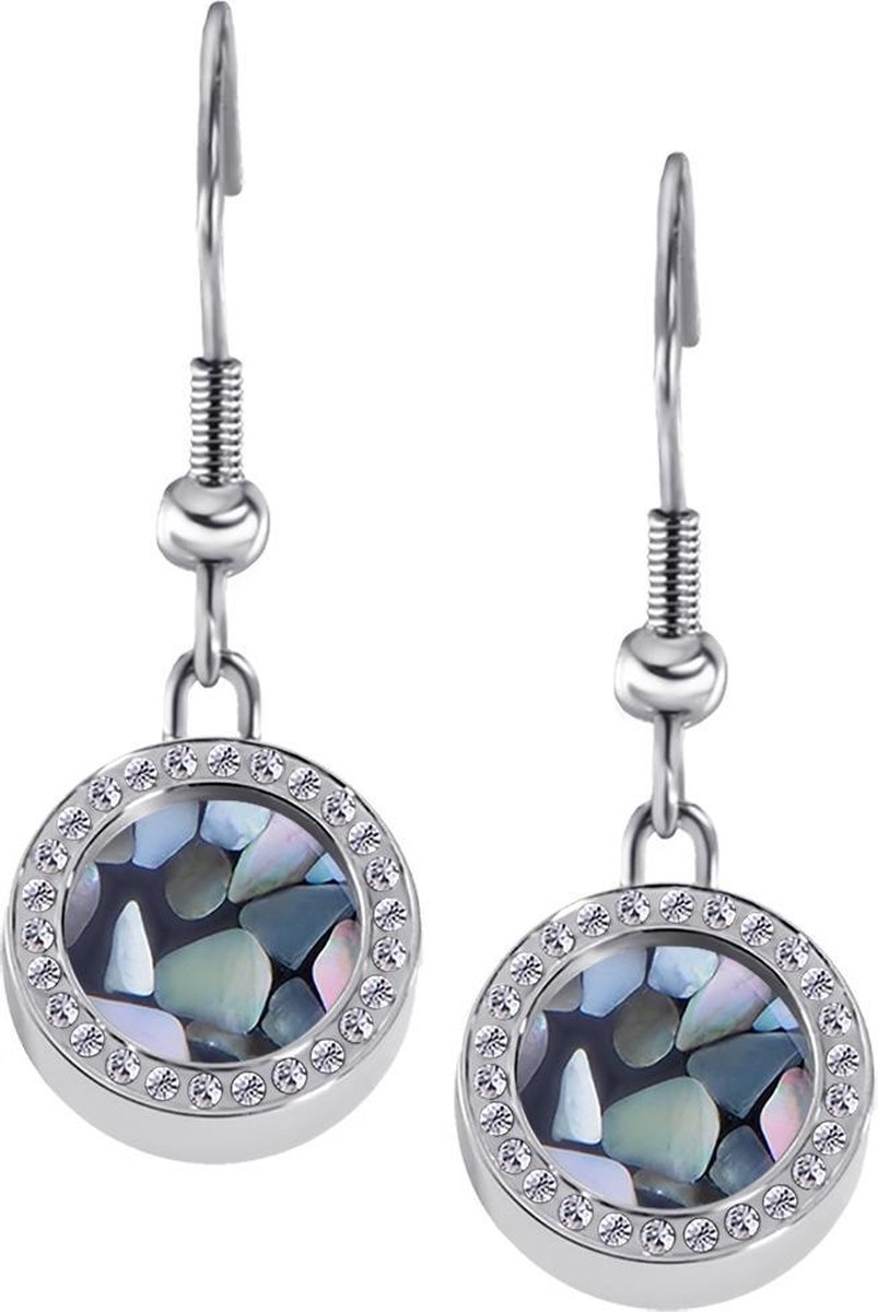 Quiges RVS Schroefsysteem Oorhangers Oorbellen Zilverkleurig met Zirkonia en... | bol.com