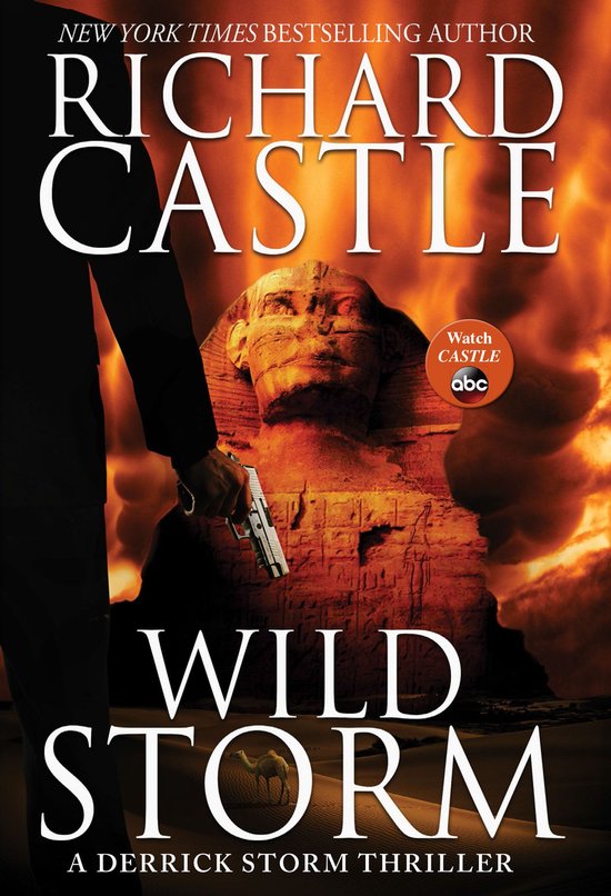 Derrick Storm - Wild Storm (ebook), Richard Castle | 9781484718308 ...