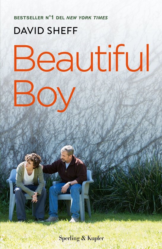 Beautiful boy (ebook), David Sheff | 9788893427982 | Boeken | bol