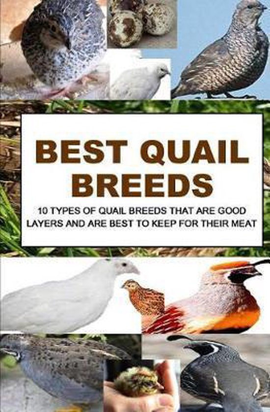 Best Quail Breeds, Francis Okumu | 9781533548689 | Boeken | bol.com