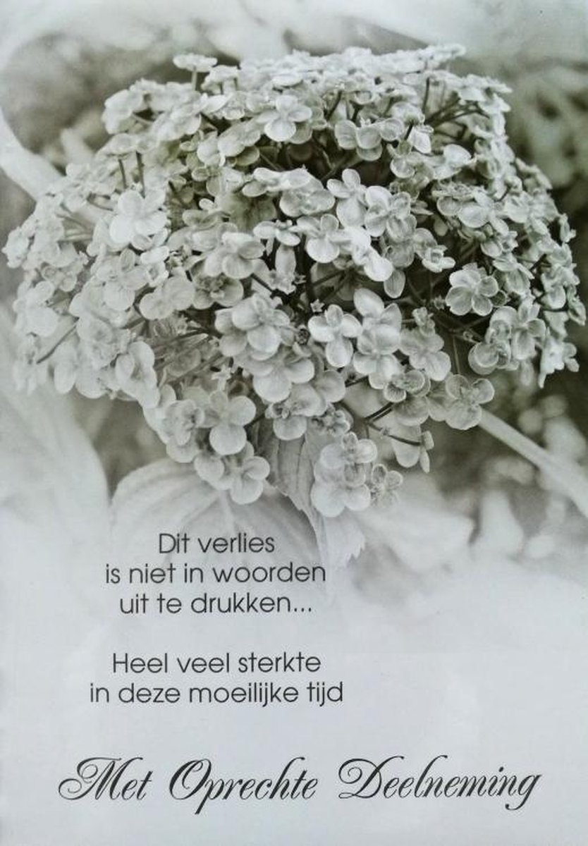 bol.com | Rouwkaarten - Condoleance kaarten - Set van 20--L-026