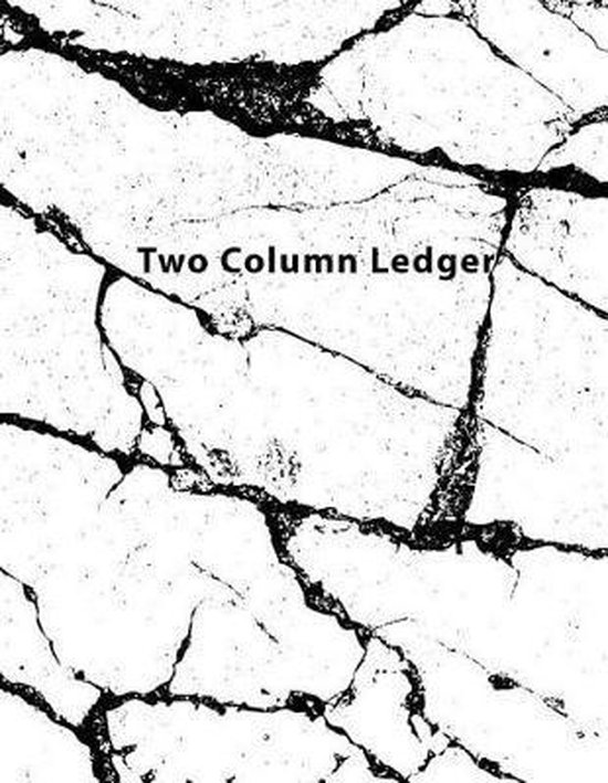 Two Column Ledger, R1 Life Publishing | 9781987566536 | Boeken | bol.com