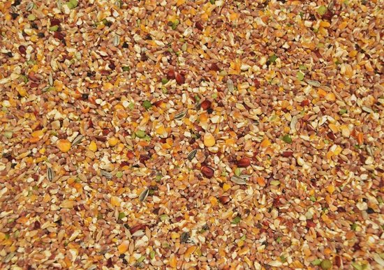 Kippenvoer Graanmix Gezond 20 kg | bol