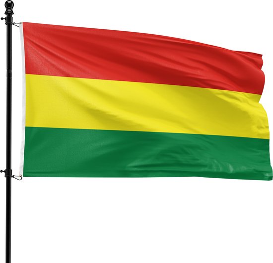 Carnavalsvlag - Carnaval Vlag 90 x 150 cm | bol