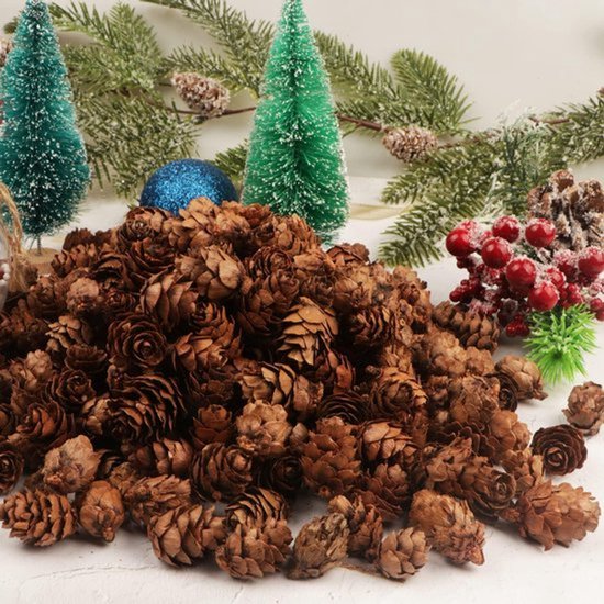 Natuurlijke dennenappels - Kerst, herfst, winter - Decoratie, ambachten ...