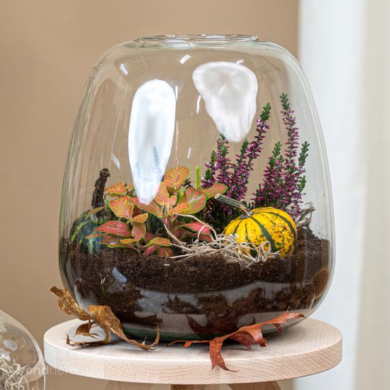 Emma Autumn - Herfst plantenterrarium met herfst decoratie - DIY-kit - Ø 23 cm ↑ 25 cm | bol