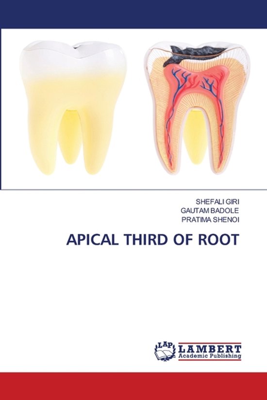 Apical Third of Root, Shefali Giri | 9786208456276 | Boeken | bol