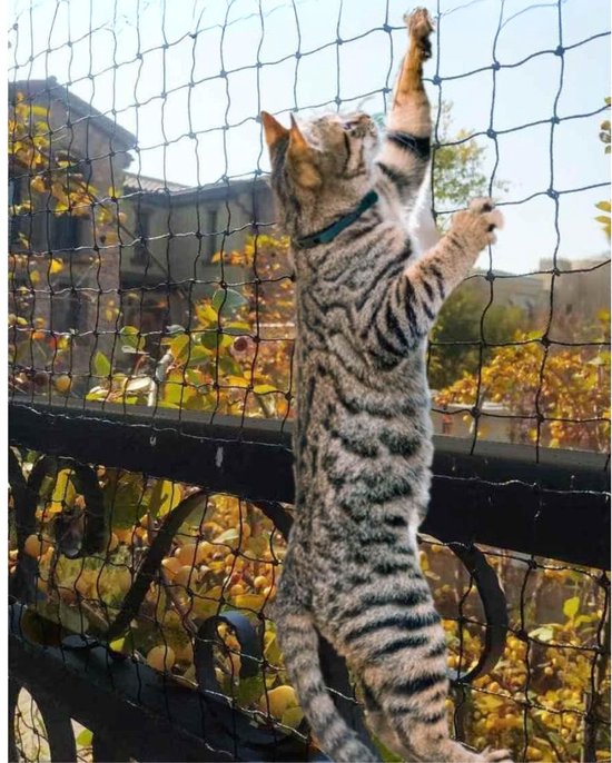 Kattennet - kattengaas - katten net - Kattennet Voor Balkon - Balkon ...