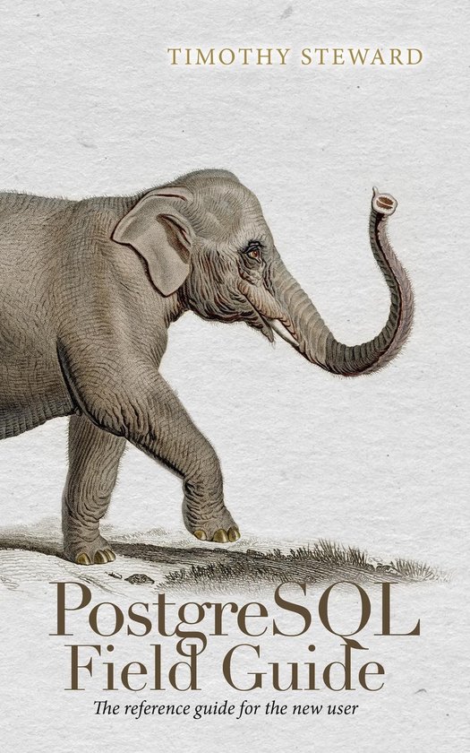 PostgreSQL Field Guide (ebook), Timothy Steward | 9798318809118 | Boeken | bol