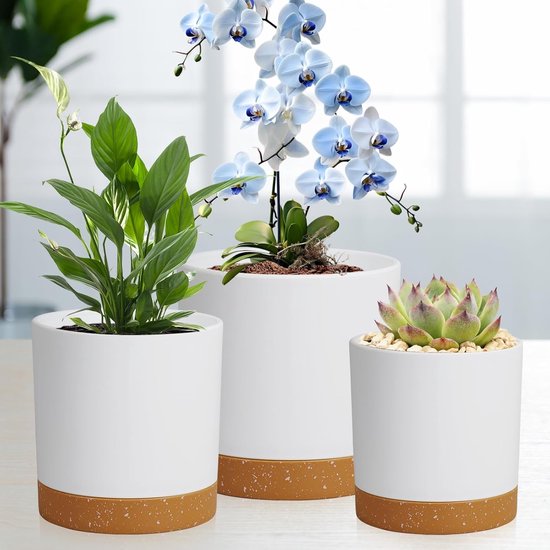 3-pack cilindrische bloempotten, moderne kleine ronde plastic ...