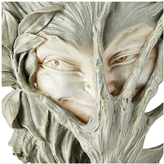 Bashful Sprite Tree Face Wandsculptuur 33 cm - Mystiek Decor voor ...