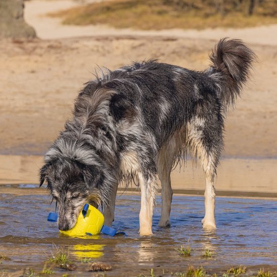Beeztees Play Ball Power | bol