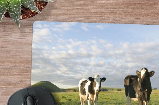 Bureaumat - Koe - Zon -Dieren - 80x40 - Muismat | bol.com