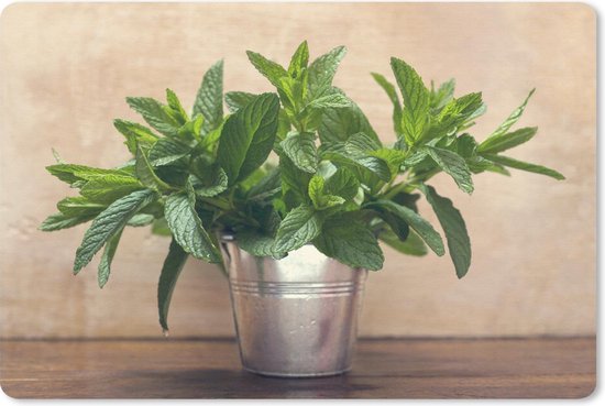 Muismat Munt - Een metalen vaas tot de nok toe gevuld met muntbladeren ...