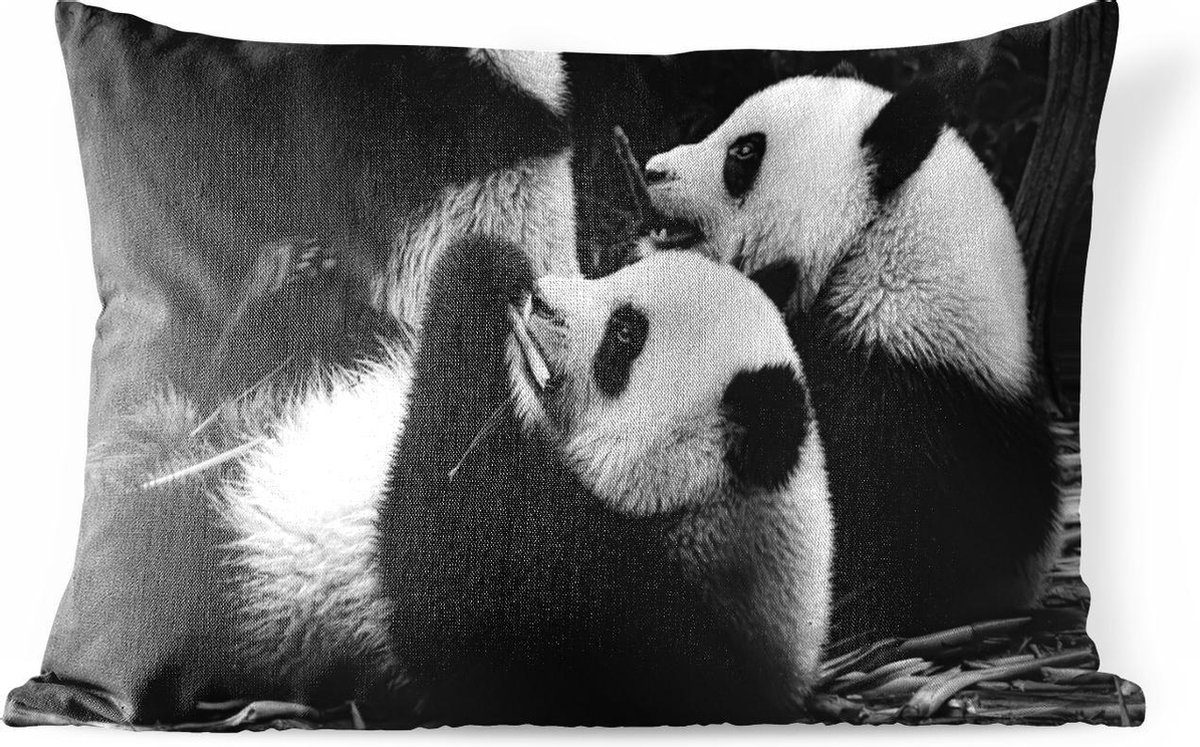 Buitenkussens - Tuin - Twee panda's liggen op de rug - 60x40 cm | bol