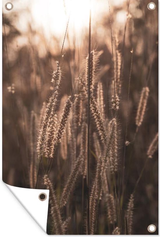 Muurdecoratie Veld met riet - 120x180 cm - Tuinposter | bol.com