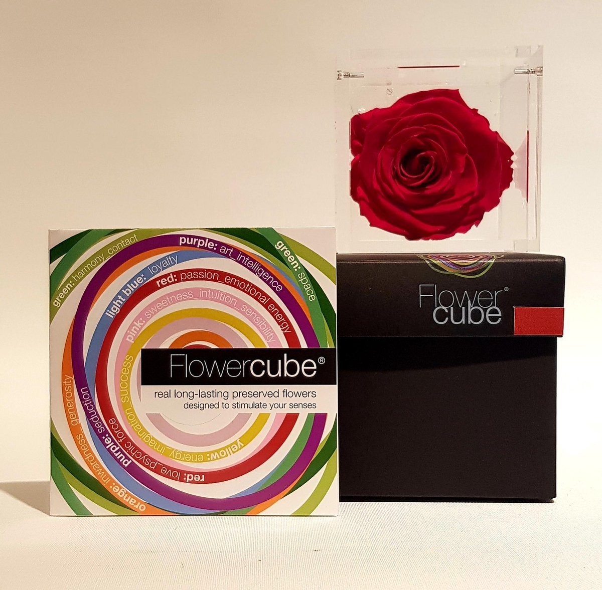 Flower cube Red Medium 8x8 cm - Gestabiliseerde roos - in transparante ...
