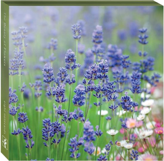 Glebe Cottage The Eco-Friendly Card Company Notecard 'The Beauty of ...