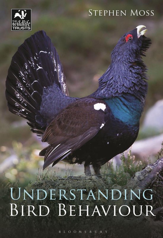 Understanding Bird Behaviour (ebook), Stephen Moss | 9781472925862 ...