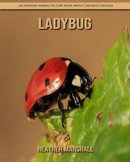 Ladybug, Heather Marshall | 9798738121494 | Boeken | bol.com