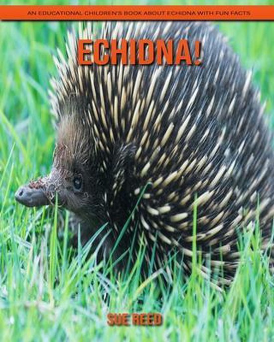 Echidna! An Educational Children's Book about Echidna with Fun Facts ...