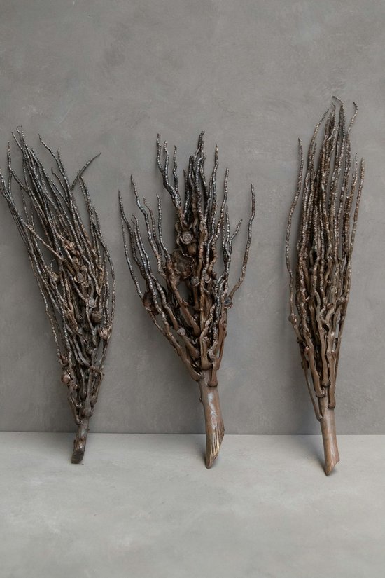 Couronne - Bundeltje gedroogde takken 'Coco' (Platinum wash deluxe) | bol