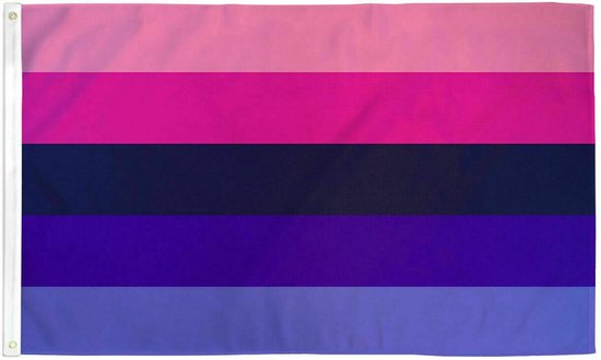 Omnisexual Pride vlag 90x150 cm - Polyester - 2 ophangringen - Omni ...