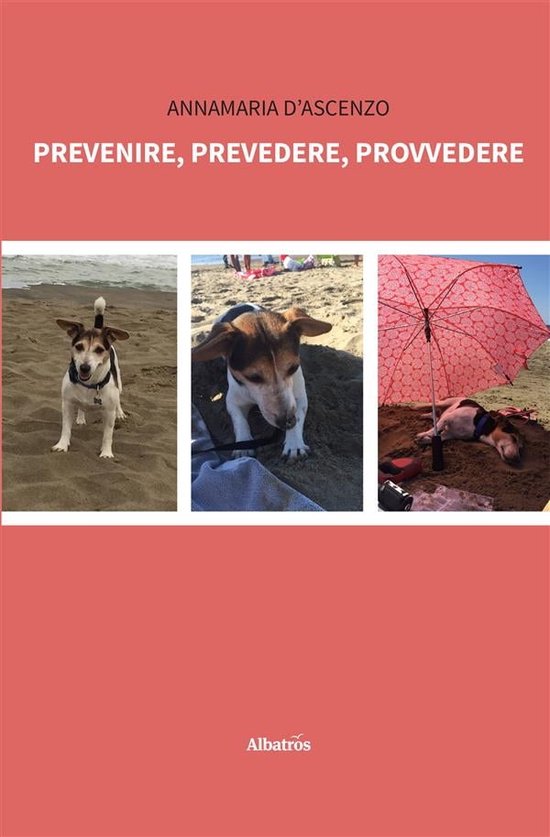 Prevenire, prevedere, provvedere (ebook), Annamaria D’Ascenzo ...