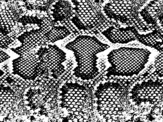 Vloerkleed vinyl | Snakey | 95x95 cm | Vloerkleed vinyl Snakey biedt ...