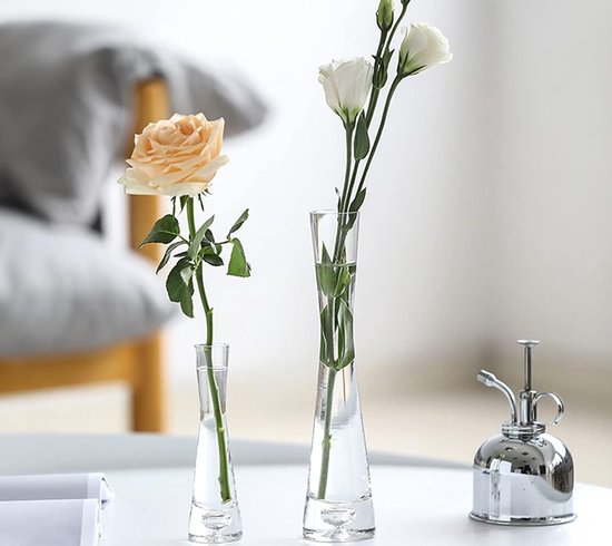 Transparent Glass Vase Mini Flower Vase with Small Mouth, Slim Waist ...
