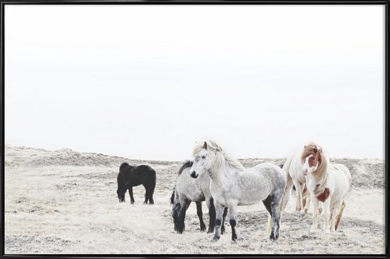 JUNIQE - Poster in kunststof lijst Wild and Free Horses 1 -20x30 | bol