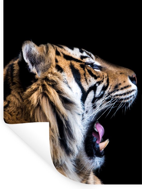 Muurstickers - Sticker Folie - Tijger - Dieren - Portret - 120x160 cm - Plakfolie -... | bol